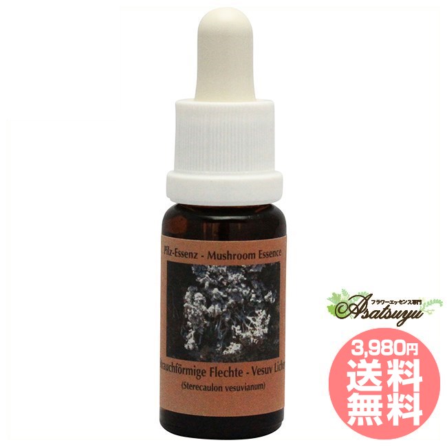 メーカー名 PHIEssencesBV シリーズ名 コルテPHIエッセンス 商品名 ヴェズーフライケン 原材料/品質 水・海塩・アルコール類・その他 内容量 15ml 賞味期限 パッケージに記載 製造者 PHIEssencesBV 生産国 ...