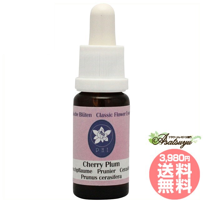 メーカー名 PHIEssencesBV シリーズ名 コルテPHIエッセンス 商品名 チェリープラム 原材料/品質 水・海塩・アルコール類・その他 内容量 15ml 賞味期限 パッケージに記載 製造者 PHIEssencesBV 生産国 オラ...