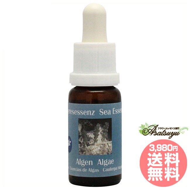 メーカー名 PHIEssencesBV シリーズ名 コルテPHIエッセンス 商品名 アルガ 原材料/品質 水・海塩・アルコール類・その他 内容量 15ml 賞味期限 パッケージに記載 製造者 PHIEssencesBV 生産国 オランダ 輸...