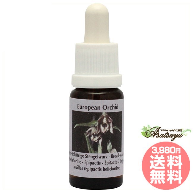 メーカー名 PHIEssencesBV シリーズ名 コルテPHIエッセンス 商品名 ブロードリーフヘリンボーン 原材料/品質 水・海塩・アルコール類・その他 内容量 15ml 賞味期限 パッケージに記載 製造者 PHIEssencesBV ...