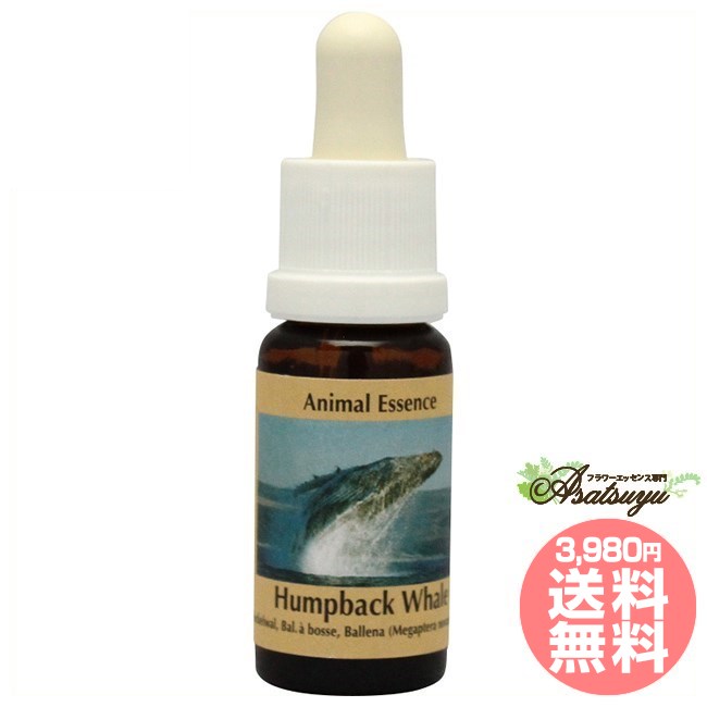 メーカー名 PHIEssencesBV シリーズ名 コルテPHIエッセンス 商品名 ハンプバックホエール(ザトウクジラ) 原材料/品質 水・海塩・アルコール類・その他 内容量 15ml 賞味期限 パッケージに記載 製造者 PHIEssenc...