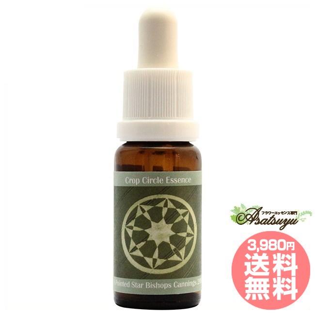 メーカー名 PHIEssencesBV シリーズ名 コルテPHIエッセンス 商品名 #30 8 Pointed Star, Bishops Cannings, UK(2000) 原材料/品質 水・海塩・アルコール類・その他 内容量 15ml...