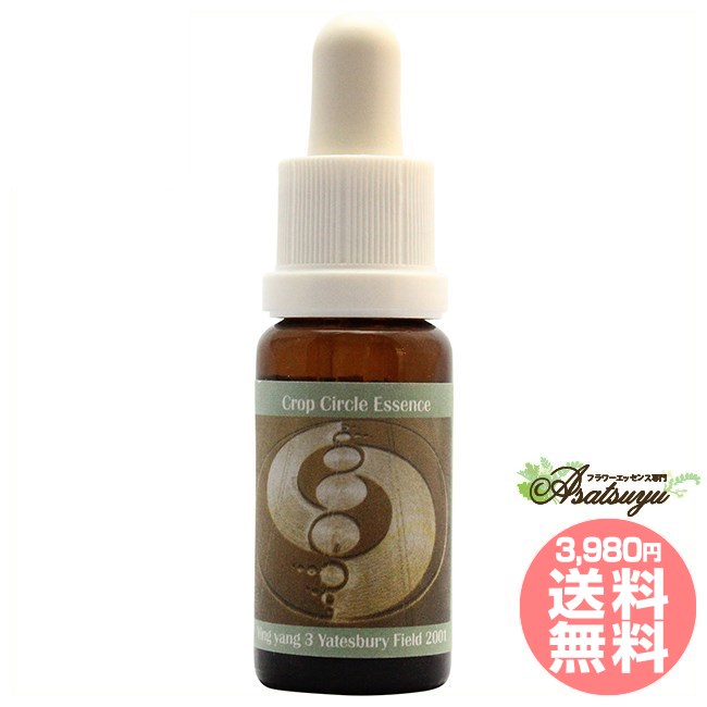 メーカー名 PHIEssencesBV シリーズ名 コルテPHIエッセンス 商品名 #44 Ying Yang 3, Yatesbury Field, UK(2001) 原材料/品質 水・海塩・アルコール類・その他 内容量 15ml 賞味期...