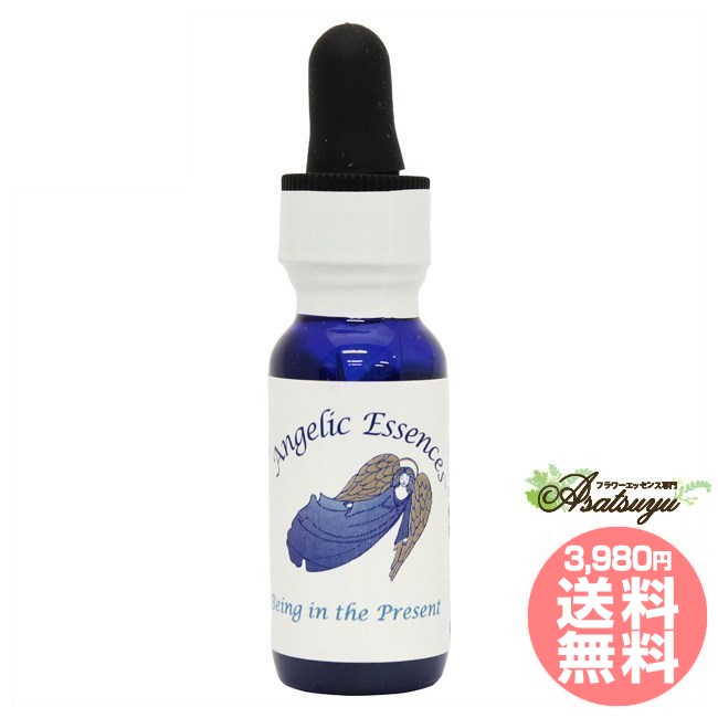 メーカー名 アンジェリックエッセンス シリーズ名 アンジェリックエッセンス単品 商品名 ビーイング・イン・ザ・プレゼント(Being in the Present) 原材料/品質 清涼飲料水 内容量 15ml 賞味期限 商品に記載 メーカー...