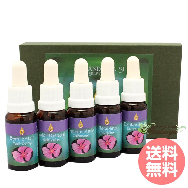 メーカー名 AraretamaEssenceiasNaturaisLTDA-ME シリーズ名 アラレタマ 商品名 セルフケアボックス(ボックス1) 原材料/品質 水・海塩・アルコール類・その他 内容量 15ml 賞味期限 パッケージに記載 ...