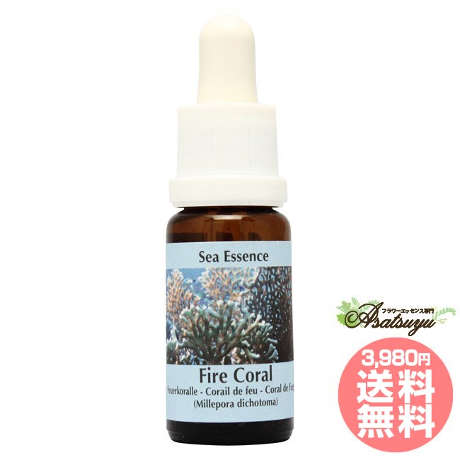 メーカー名 コルテPHIエッセンス シリーズ名 シーエッセンス 商品名 ファイアーコーラル(Fire Coral) 原材料/品質 水・海塩・アルコール類・その他 内容量 15ml 賞味期限 パッケージに記載 メーカー名 PHIEssence...