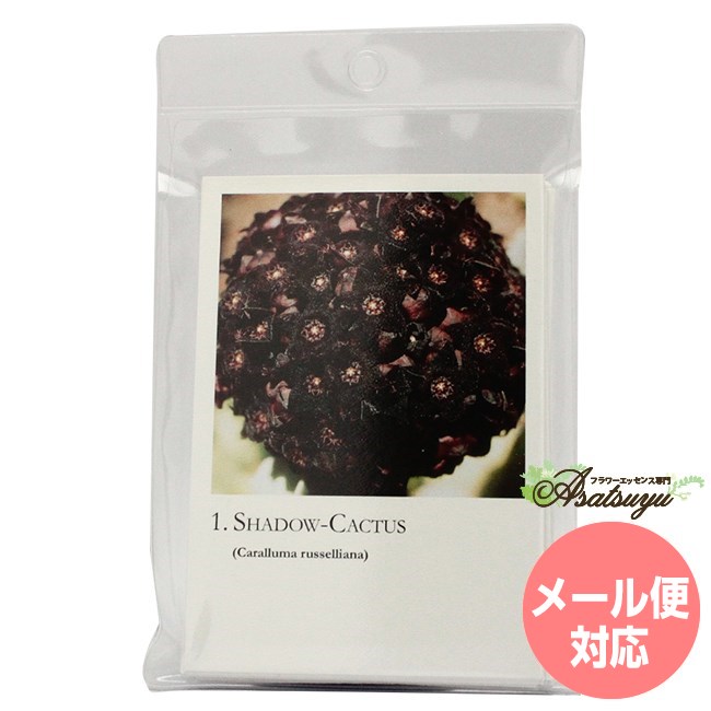 メーカー名 PHIEssencesBV シリーズ名 コルテPHIエッセンス 商品名 カクタスシリーズカード全20枚 原材料/品質 −−− 内容量 −−− 賞味期限 パッケージに記載 製造者 PHIEssencesBV 生産国 オランダ 輸入...