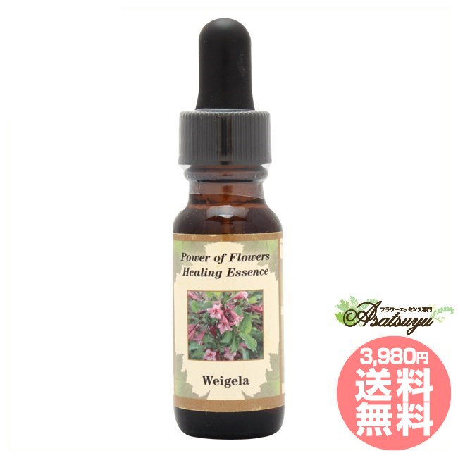 メーカー名 パワーオブフラワーヒーリング シリーズ名 その他シングルエッセンス 商品名 ウェイゲラ (Weigela) 原材料/品質 水・海塩・アルコール類・その他 内容量 15ml 賞味期限 パッケージに記載 メーカー名 The Powe...