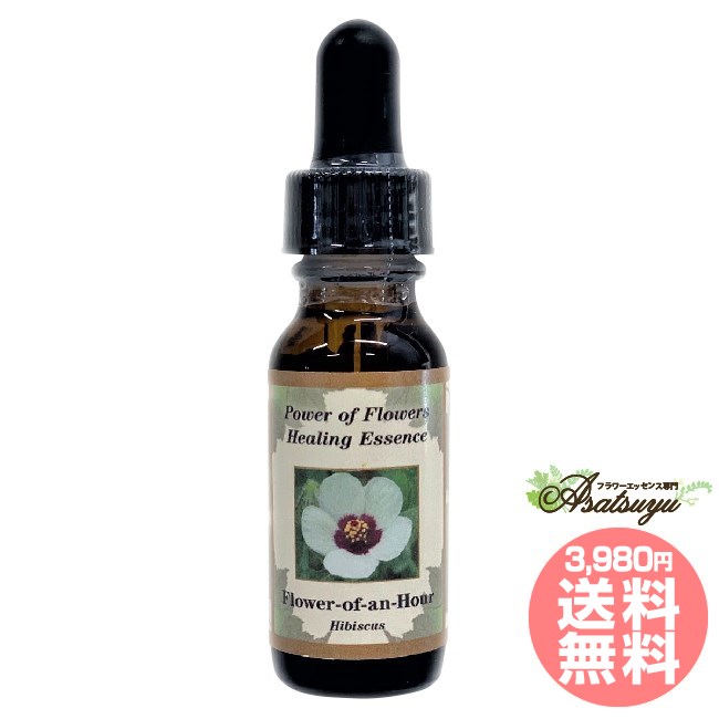 メーカー名 The Power of Flowers Healing Essences シリーズ名 パワーオブフラワーヒーリング 商品名 フラワーオブアンアワー 原材料/品質 水・海塩・アルコール類・その他 内容量 15ml 賞味期限 パッ...