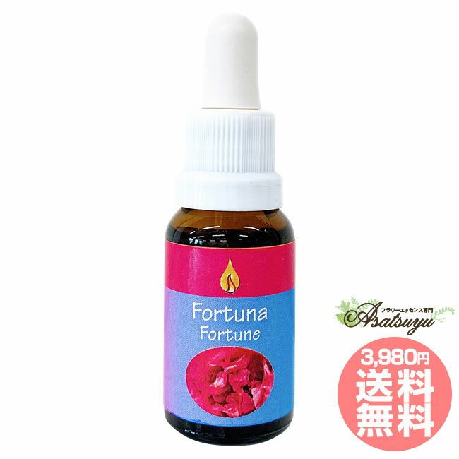 メーカー名 アラレタマ シリーズ名 フォーチュンキット 商品名 フォーチュン 原材料/品質 水・海塩・アルコール類・その他 内容量 15ml 賞味期限 パッケージに記載 メーカー名 AraretamaEssenceiasNaturaisLT...