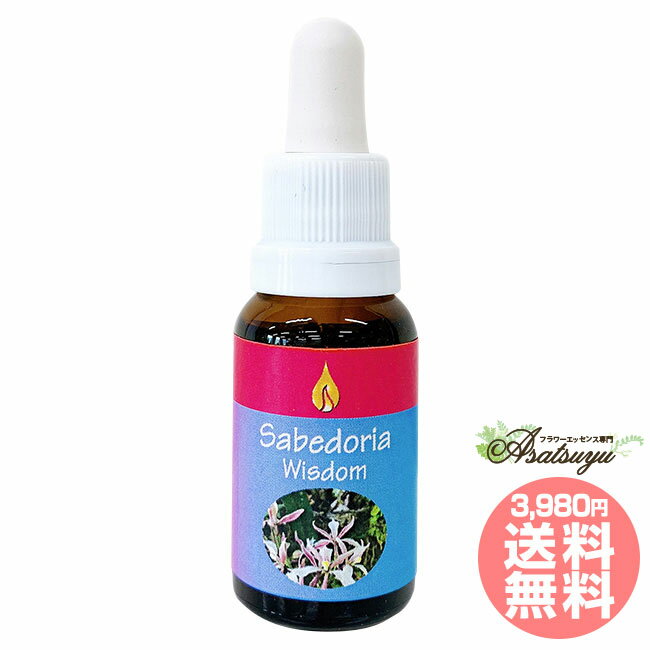 メーカー名 アラレタマ シリーズ名 フォーチュンキット 商品名 ウィズダム 原材料/品質 水・海塩・アルコール類・その他 内容量 15ml 賞味期限 パッケージに記載 メーカー名 AraretamaEssenceiasNaturaisLTD...