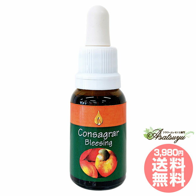 メーカー名 アラレタマ シリーズ名 マナキット 商品名 ブレッシング 原材料/品質 水・海塩・アルコール類・その他 内容量 15ml 賞味期限 パッケージに記載 メーカー名 AraretamaEssenceiasNaturaisLTDA-M...