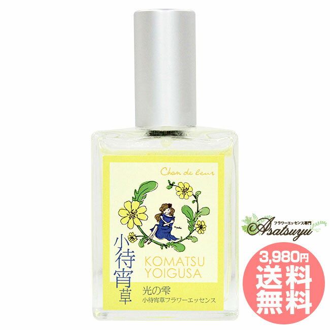 メーカー名 株式会社シャンドゥルール シリーズ名 出雲の四季 商品名 小待宵草(スプレー) 原材料/品質 ナチュラルミネラルウォーター・アルコール・小待宵草エッセンス・精油(シダーウッド・フランキンセンス・オレンジスイート) 内容量 25m...