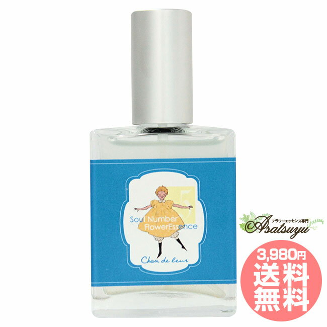 メーカー名 株式会社シャンドゥルール シリーズ名 ソウルナンバーエッセンス 商品名 ソウルナンバーエッセンススプレーFIVE(5) 原材料/品質 ナチュラルミネラルウォーター、アルコール、ブレンドエッセンス(パパイヤ(メイン)・ハイビスカス...