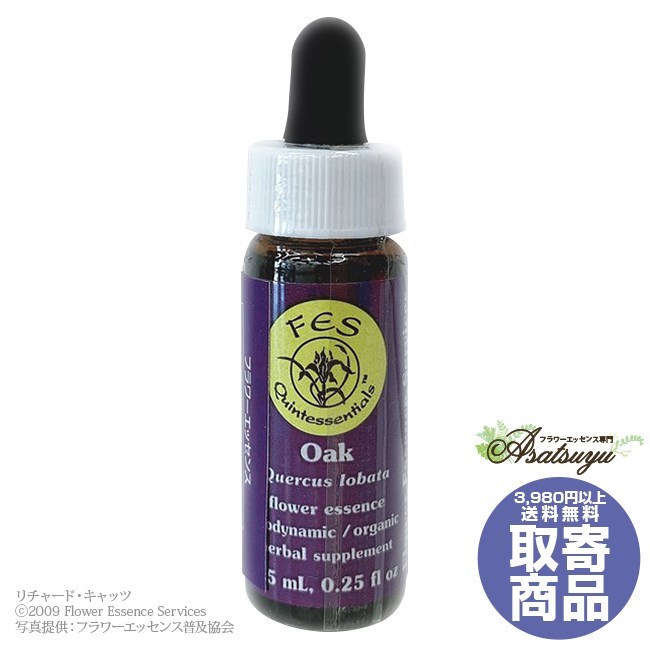 メーカー名 FlowerEssenceServices シリーズ名 リサーチバッチ 商品名 オーク(7.5ml) 製造者 FlowerEssenceServices 生産国 アメリカ 輸入者 アフィージャパン(株) 資料提供 フラワーエッセ...