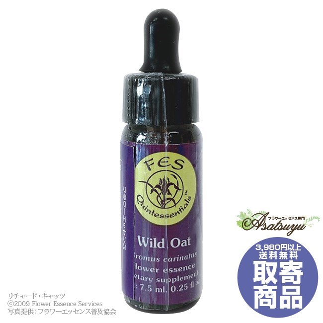 メーカー名 FlowerEssenceServices シリーズ名 リサーチバッチ 商品名 ワイルドオート(7.5ml) 製造者 FlowerEssenceServices 生産国 アメリカ 輸入者 アフィージャパン(株) 資料提供 フラワ...