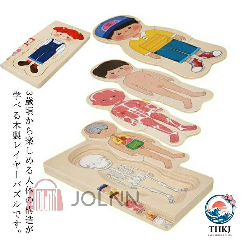 遊びながら学べる「5層のレイヤー構造」「服皮膚」「筋肉」「内臓」「骨格」など、体の構造が5つのレイヤー（層）に分かれたパズルです。パズルを一枚ずつ完成させていく過程で、人間の体がどのように重なり、成り立っているのかを視覚的に理解することがで...
