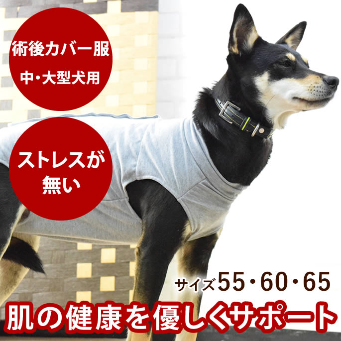 ■お支払方法や送料設定について ■購入後も安心の返品・交換について ■商品配送のお届け目安について ■会社概要 犬用　術後カバー服　中・大型犬用（サイズ55・60・65） 術後や湿疹等のお悩みから肌を守るカバー服 術後の傷をよく舐める子、ア...
