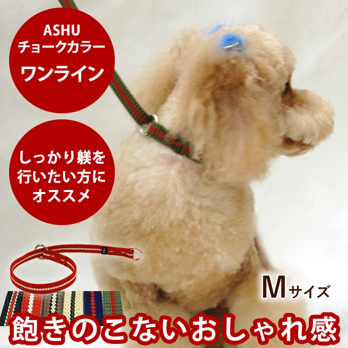 ■　配送目安　　　　　■　会社概要　　　　　■　お支払いと送料について ASHU人気のワンラインシリーズは、使い心地も抜群！ トレーニングに欠かせないチョークタイプのカラーは味気ないものが多い・・・でもこのワンラインシリーズなら、デイリー使...
