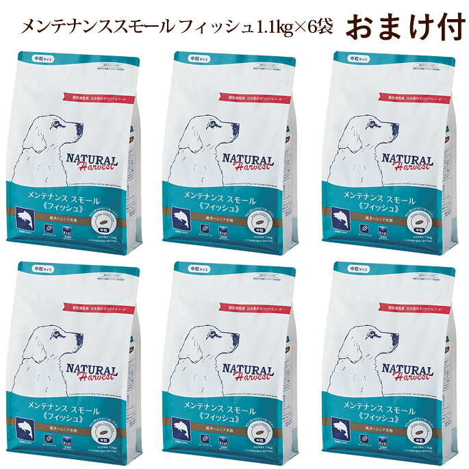 ※1　常温品と冷凍品混在時は11000円以上で送料無料 ※2　沖縄・北海道は11000円以上で通常送料無料、常温混在時は22000円以上で送料無料となります。 ※3　ただし在庫有りの商品に限る。土曜日は12時までとなります。 ※4　定休日：...