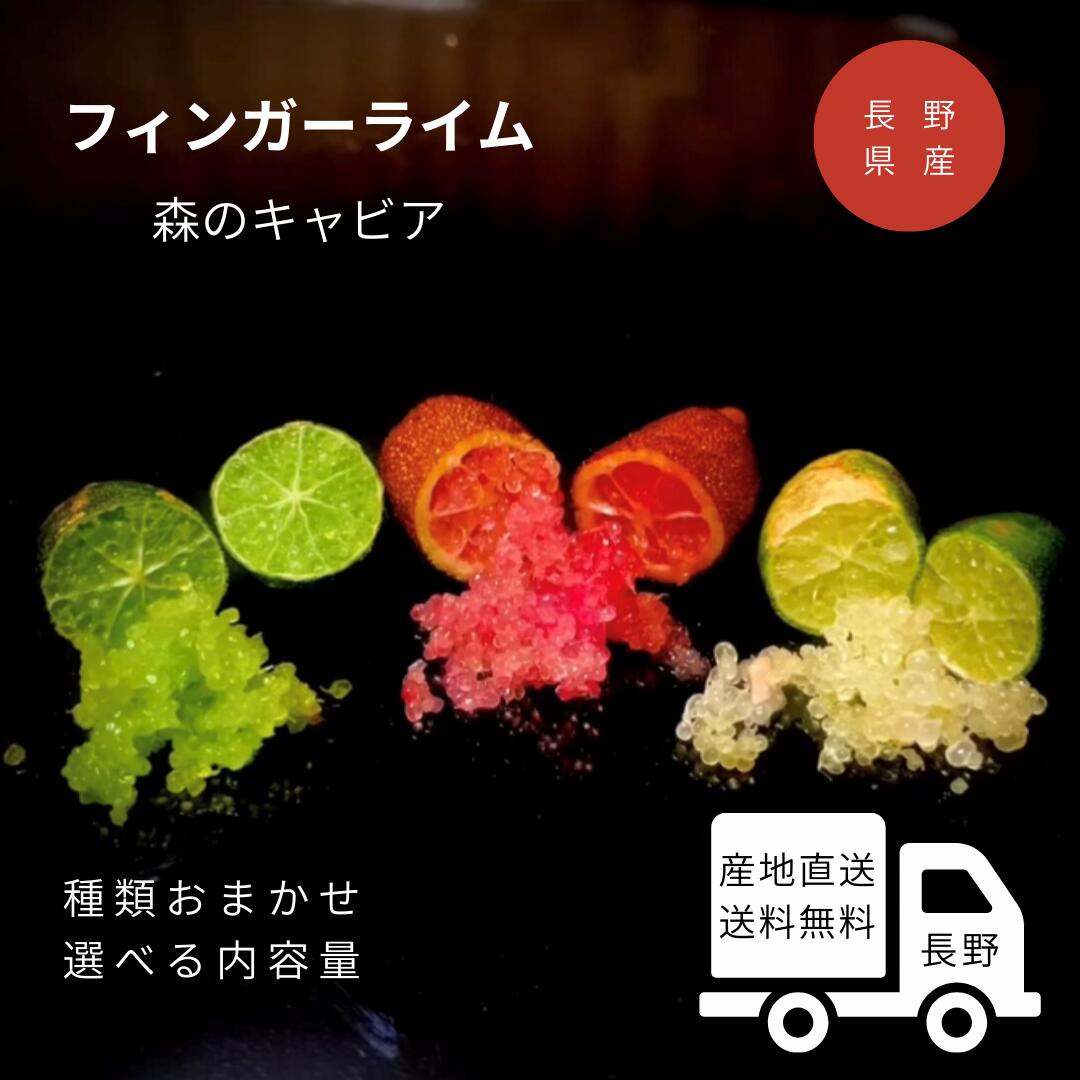 商品説明 商品名 フィンガーライム 産地 国産（長野県） 内容量 50g~300g 保存方法 冷暗所または冷蔵庫
