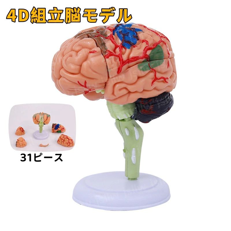 商品説明 サイズ:9.3*6.1*4.8cm 素材:PVC 特別サービス 大量購入を承っております。詳細については店舗までお問い合わせください。 他のモデルをお探しの場合は、お気軽にお問い合わせください。 関連キーワード（本商品の説明ではあ...