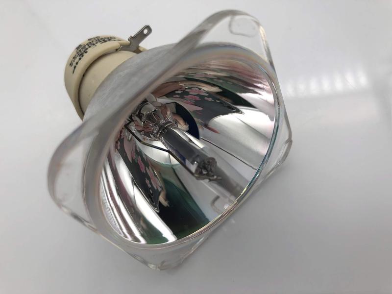 Chaowei 5J.J9R05.001 プロジェクター 交換用 元裸電球 純正 Philips フィリップス 裸電球 バルブ 180日 対応機種: MS504 MX505 MS521P MX522P