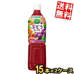 ■メーカー:カゴメ■賞味期限:（メーカー製造日より）270日■赤ぶどうの強い甘さと、ほどよい酸味に、白ぶどうのさわやかな香りを活かした贅沢な野菜・果実ミックスジュースです。砂糖不使用・ポリフェノールを摂ることができます。季節限定の味わいを家...