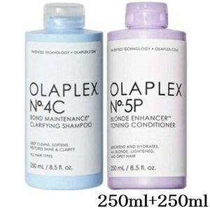商品のご説明 商品概要 【No.4C ボンドメンテナンス クラリファイングシャンプー】 クリアな毛髪に導くディープクレンジングシャンプー。 頭皮と毛髪の皮脂や汚れ、べたつきはもちろん、水道水に含まれるミネラル分や塩素までケア。 その後のトリ...