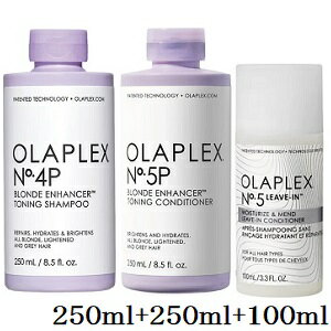 商品のご説明 商品概要 【No.4P トーニングシャンプー】 7レベル以上のブリーチや白髪、ヘアカラーの 黄色味をコントロールしながら ダメージを ケアして綺麗な髪色を持続させる パープルシャンプー。 明るい色味のつややかな髪に仕上げます。...
