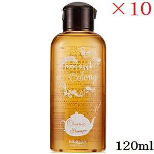 商品のご説明 商品概要 イオンの力で汚れを落とす新発想のヘアケアシリーズ。 超低刺激で手肌に優しい。 ウーロン茶葉エキス入り。 スッキリ爽やかなシトラスジンジャーの香り。 ご使用方法 ---- 内容量 120ml×10個 その他の種類（クリ...