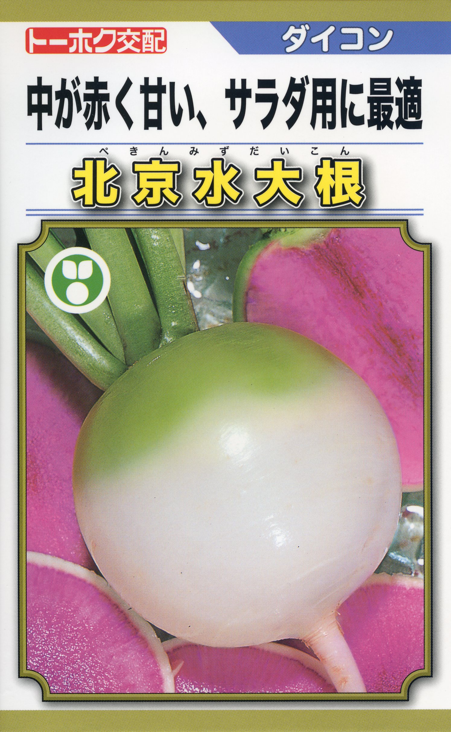 関連商品大根 種 ビタミン大根 トーホク おいしい 種類 家庭菜園 プロ向け ...大根 種 味短歌 カネコ 種 苗 おいしい 種類 家庭菜園 プロ向け ...大根 種 豊秋 カネコ 種 苗 おいしい 種類 家庭菜園 プロ向け 大...64...