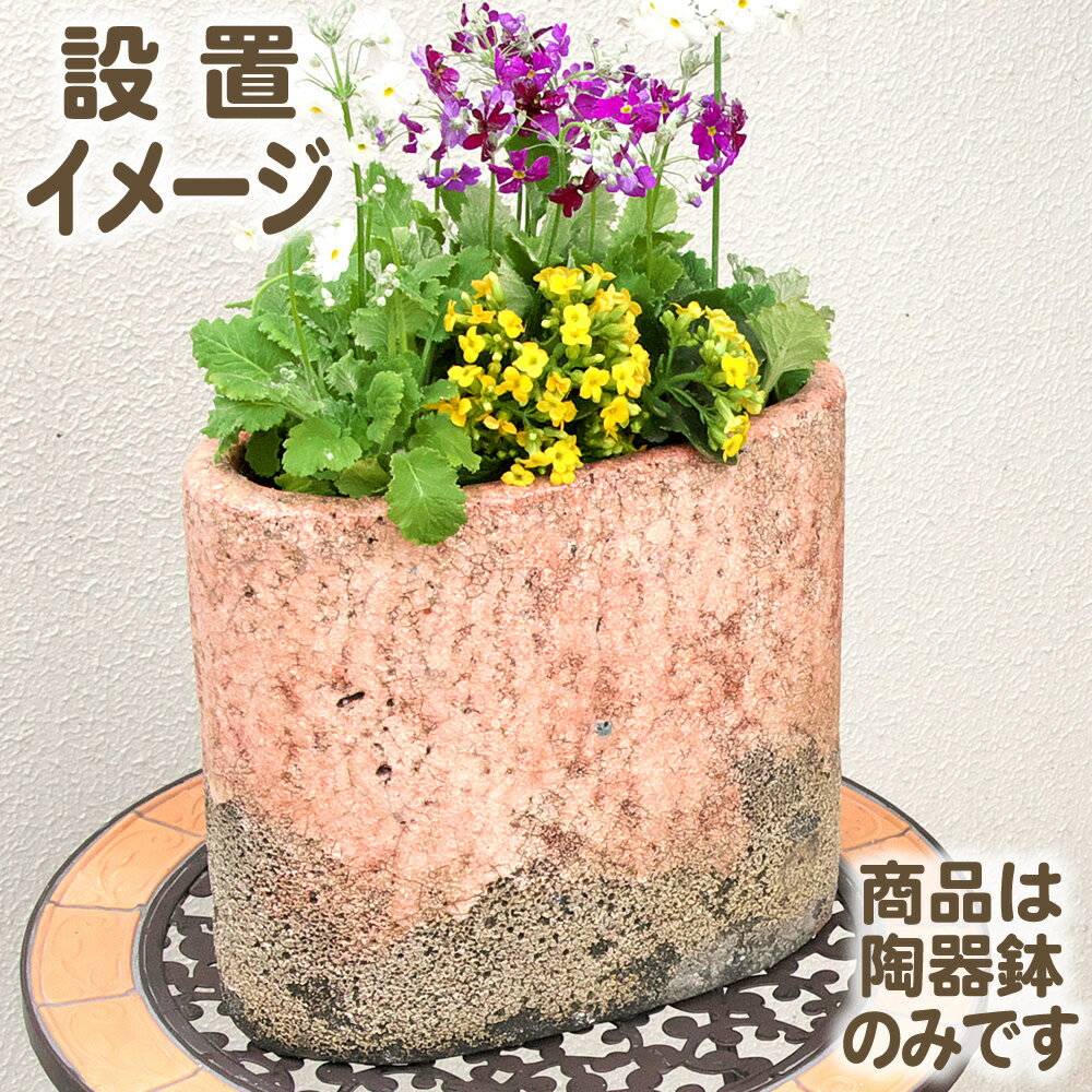 楽天市場】鳥かご セキセイインコ(植木鉢|植木鉢・プランター 楽天市場】鳥かご セキセイインコ(植木鉢|植木鉢・プランター