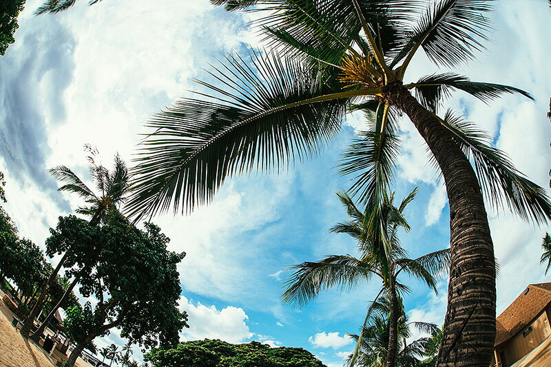 アートパネルやアートボードでおしゃれな部屋に！壁掛けファブリックパネル artmart 商品の特徴 artmartは自分のお部屋に合わせて好みのアートが選べる画期的なアートボードです。高級キャンバス地に次世代高解像度プリンターで鮮明かつ耐久...