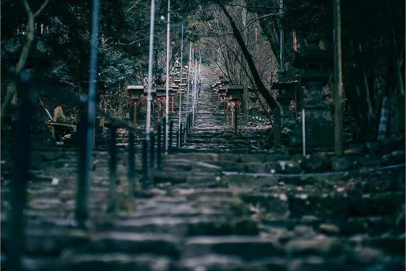 アートパネルやアートボードでおしゃれな部屋に！壁掛けファブリックパネル artmart 商品の特徴 artmartは自分のお部屋に合わせて好みのアートが選べる画期的なアートボードです。高級キャンバス地に次世代高解像度プリンターで鮮明かつ耐久...