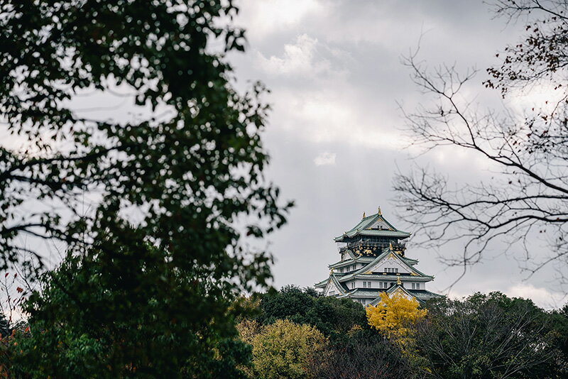 アートパネルやアートボードでおしゃれな部屋に！壁掛けファブリックパネル artmart 商品の特徴 artmartは自分のお部屋に合わせて好みのアートが選べる画期的なアートボードです。高級キャンバス地に次世代高解像度プリンターで鮮明かつ耐久...