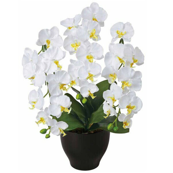 サイズ（目安）：幅450 奥行き500 高さ680 mm材質：[本体]ポリエステル、ポリエチレン[器]陶器商品重量：2.37kg光触媒加工（V-CAT）日本製※ハンドメイドのため、サイズ及び色の多少の誤差はご了承ください。※ラッピング不可い...