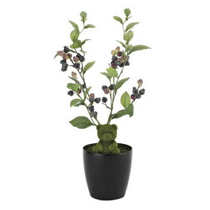 サイズ：幅200　奥行き200　高さ440 mm材質：[本体]ポリエステル、ポリエチレン[器]プラスチック重量：約440g光触媒加工（V-CAT）※ハンドメイドのため、サイズ及び色の多少の誤差はご了承ください。※ラッピング不可※沖縄・離島は...