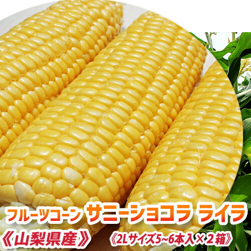商品名 フルーツコーンサニーショコラ ライラ　（とうもろこし） 商品内容 皮付き「フルーツコーンサニーショコラ ライラ」2Lサイズ5〜6本入り×2箱（合計10〜12本） 出荷目安 6月中旬頃より順次発送いたします。 ※収穫に合わせての発送の...