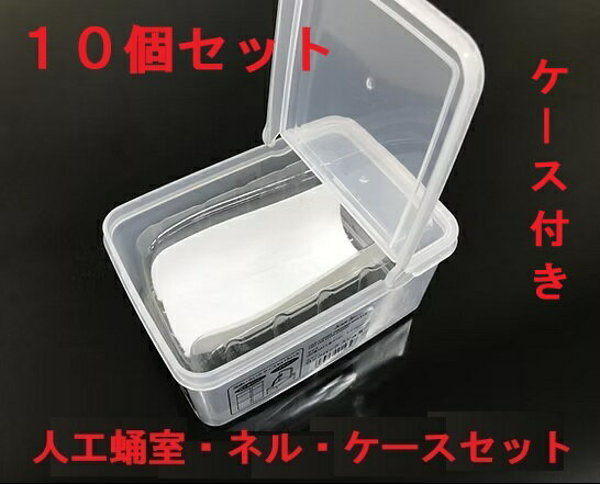 ★商品説明★ 1 人工蛹室Fと保湿用ネルとケースの10個セットです。透明の材質で作製した人工蛹室　特大サイズ　になります。 ヒラタなど大型サイズの個体にご使用ください。 保湿用ネル G特大付属しています。 外寸：約87mm×131.5mm ...