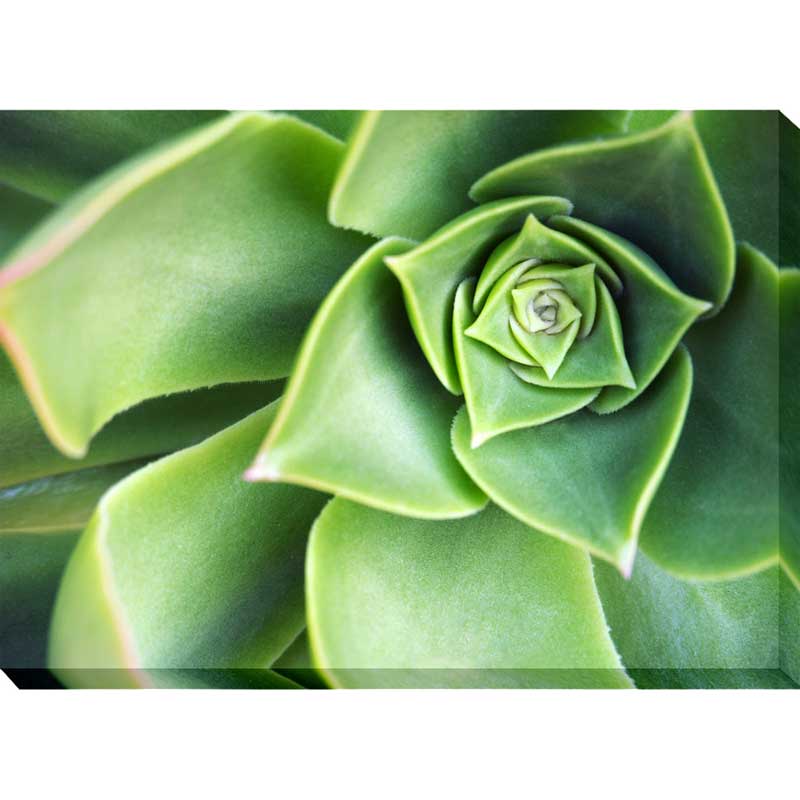 ◆高品質の日本製高品質なキャンバスにインクジェット印刷を施しており、鮮やかな色彩が長持ちします。 注文をお受けしてから1点1点丁寧に手作業で仕上げています。 角の部分も丁寧に時間をかけて織り込むことで横からの見た目も良く、たわみの原因を防い...