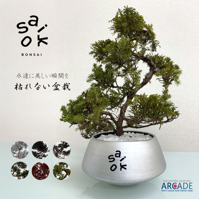 saiko盆栽（サイコウぼんさい）