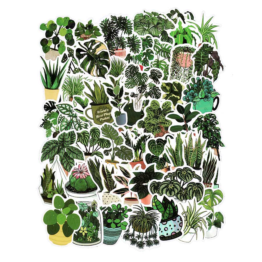 【メール便送料無料】オシャレな観葉植物がテーマ♪たっぷり54枚セット！！観葉植物柄のイラスト仕上げのステッカーです★色々なデザインが楽しめて嬉しいです(^^)/ いろいろなデザイン54枚セット たっぷり54枚セット♪オシャレな観葉植物がテー...