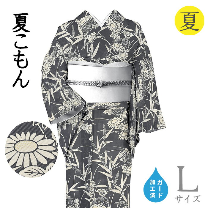 ★　種類　　　小紋　（絽）★　素材　　　正絹★　サイズ　※身丈は肩からの身丈寸法です。　身丈　約 164.7cm（ 4尺 3寸 5分）袖丈　約 49.0cm（ 1尺 3寸 0分）裄丈　約 68.0cm（ 1尺 8寸 0分）前幅　約 24.5...