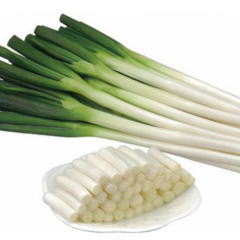 【収穫時期】秋・冬【ご購入の皆様へ】 こちらの商品は、メーカー在庫の商品となります。 商品の発送は、通常、在庫がある場合、2〜3営業内での発送となります。 ご注文後にメーカーへ在庫確認・発注をいたします。 その為、納品までにお時間がかかる場...