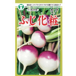 　食味よく小カブから中カブまで収穫できる紫首カブ 　　　　　【カブ種子】　ふじ化粧　カブ　（トーホク）　小袋 &nbsp; &nbsp; ※栽培方法・時期は目安です。適温でのタネまき、地域や条件に合わせた栽培をおすすめします。 &nbsp;...