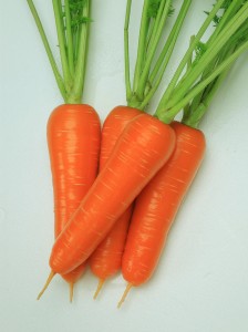 葉が強健で、肥大力に優れた多収型品種 人参種子　カネコ種苗　あけみ五寸　2dl プロ用・専門家向け種子 &nbsp; 【特長】 夏まき冬どり用のF1品種です。 地上部は濃緑・立性で草勢が強く、黒葉枯病の耐病性、耐寒性に優れ、機械収穫に適しま...