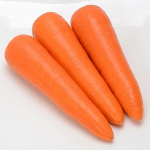 根・芯色ともに濃い春夏まき兼用種 にんじん種子　みかど協和　アメリ　ペレット種子1万粒 プロ用・専門家向け種子 &nbsp; 【特長】 1.熟期105〜110日の春夏まき兼用種。 2.初期生育が早い。 3.草姿立性で機械収穫に適する。 4....