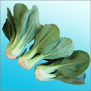 重量感豊かな春・秋蒔き種 チンゲンサイ種子　渡辺農事　ニイハオ4号　小袋 家庭菜園向け種子 &nbsp; 【特長】 形状・品質に優れる。草姿は立性、葉はやや長めの整った楕円形で、葉先が立ちます。 葉、葉柄ともに色が濃く、美しい光沢を持ちます...