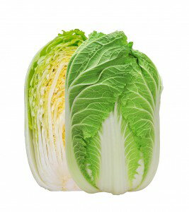 病気に強く、作りやすい!春秋兼用品種 白菜種子　カネコ種苗　菜時黄　コート5000粒 プロ用・専門家向け種子 &nbsp; 【特長】 播種後約75日で収穫が可能な黄芯系中早生品種です。 晩抽性を有するので、従来の秋まきの他、春まきも可能な品...